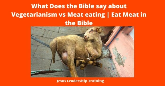 What Does the Bible say about Vegetarianism vs Meat eating | Eat Meat ...