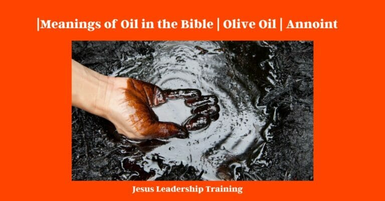 11: Meanings of Oil in the Bible (2024) Olive Oil | Anoint