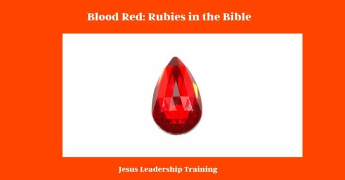 Blood Red: Rubies in the Bible | Bible | Ruby - Jesus Leadership Training