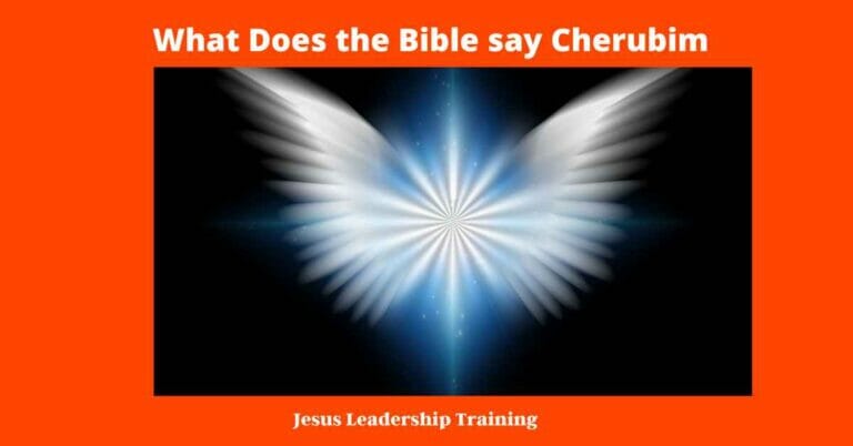 What Does the Bible say Cherubim look Like (2024)