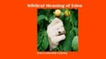 Unveiling the Profound Biblical Meaning of Eden: An Exploration into ...