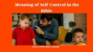 Meaning of Self Control in the Bible | Bible | PDF | Quiz | Classes