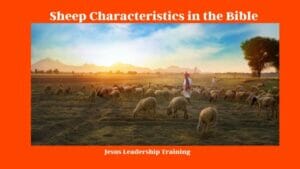 Discovering the Sheep Characteristics in the Bible: A Deeper Understanding