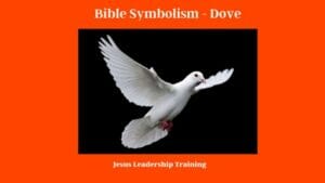 Dove Bible Symbolism: A Comprehensive Exploration of Spiritual Significance